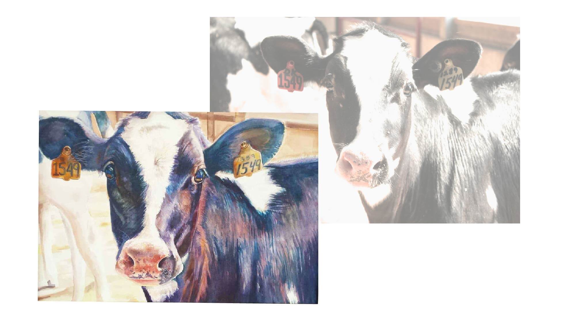 Watercolor Cow Tutorial – BrushWell Designs